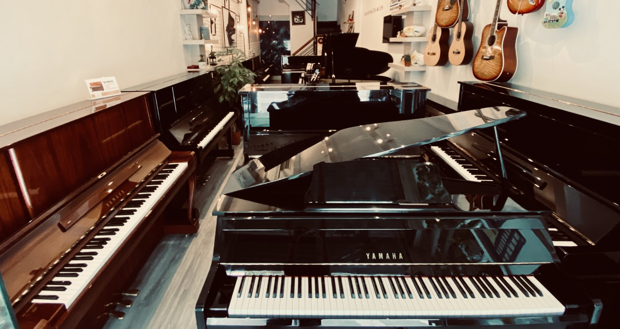 How to Pick the Best Instrument for You – Opus38